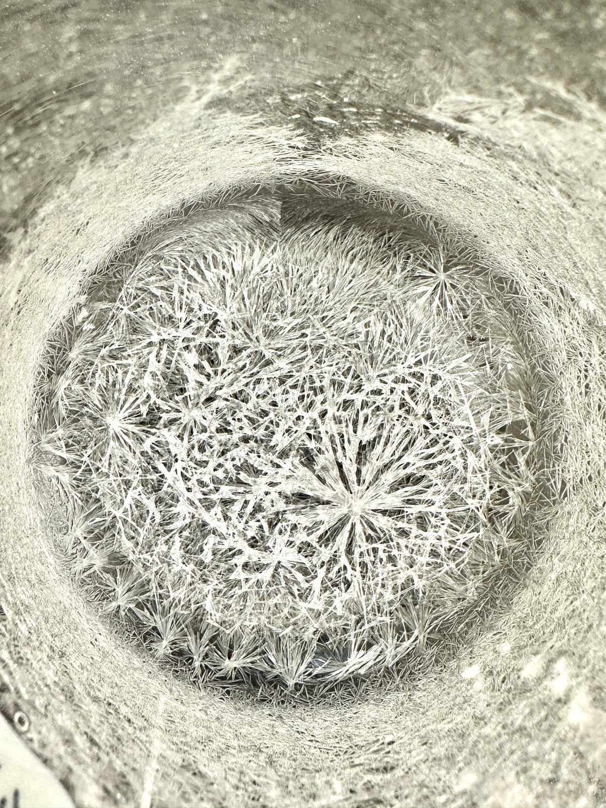 HCN ESSENCE No.32 – One st. 公式サイト